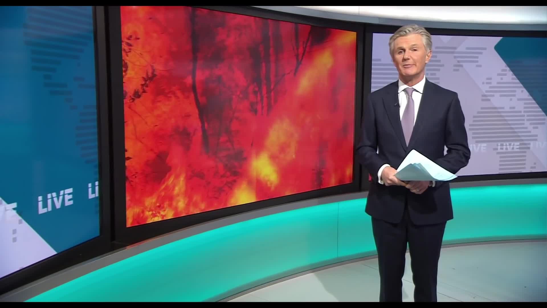 THE BLUE FOREST - FilmFreeway