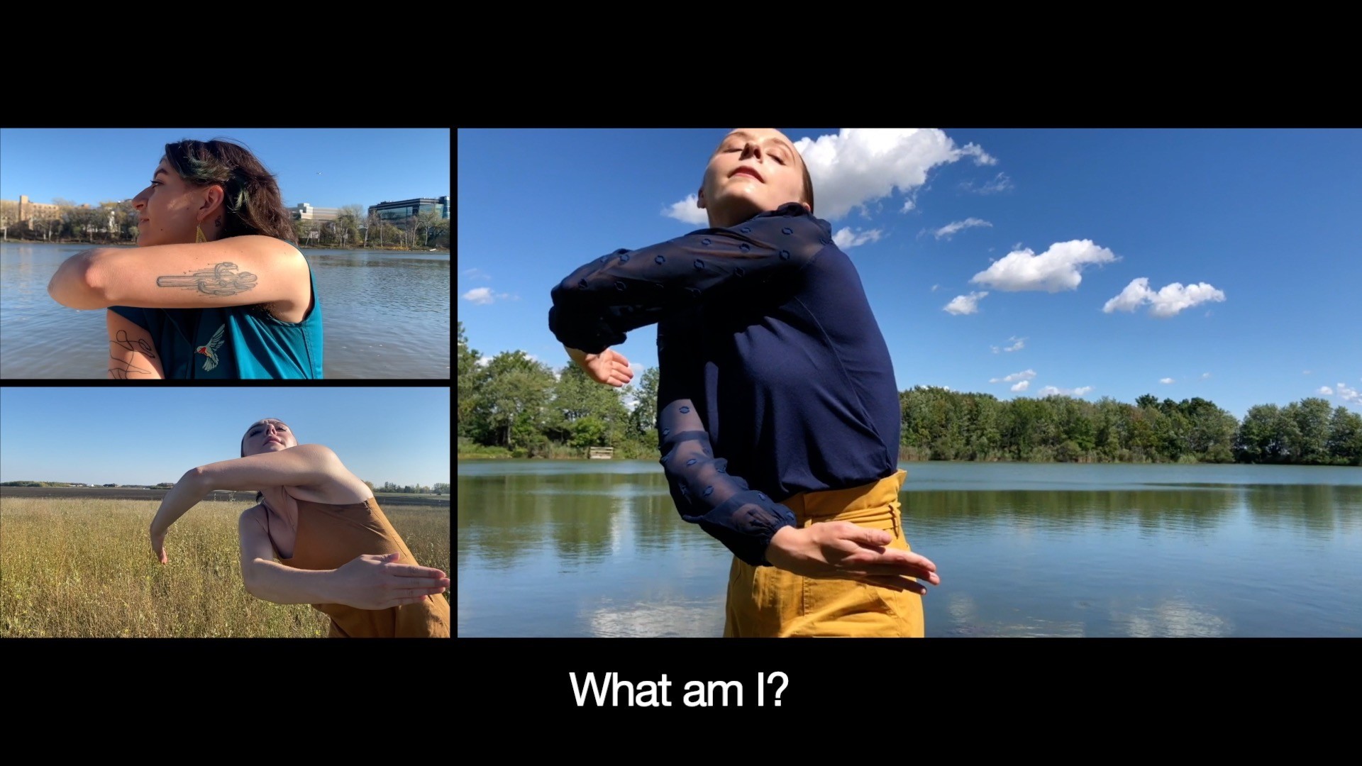 What Am I? - FilmFreeway