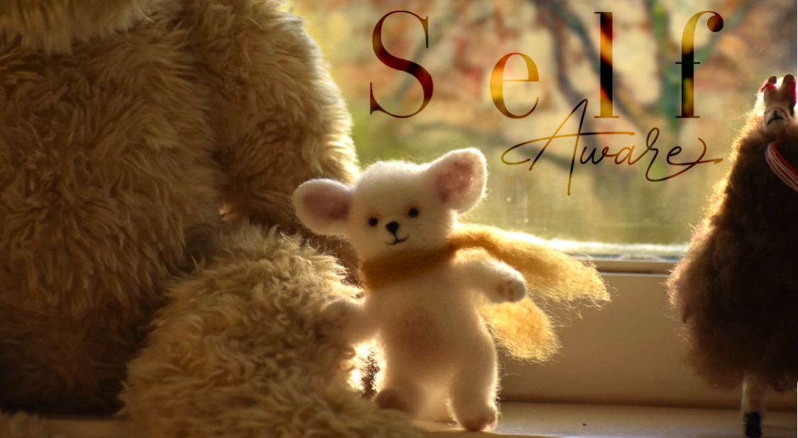 Self Aware - FilmFreeway