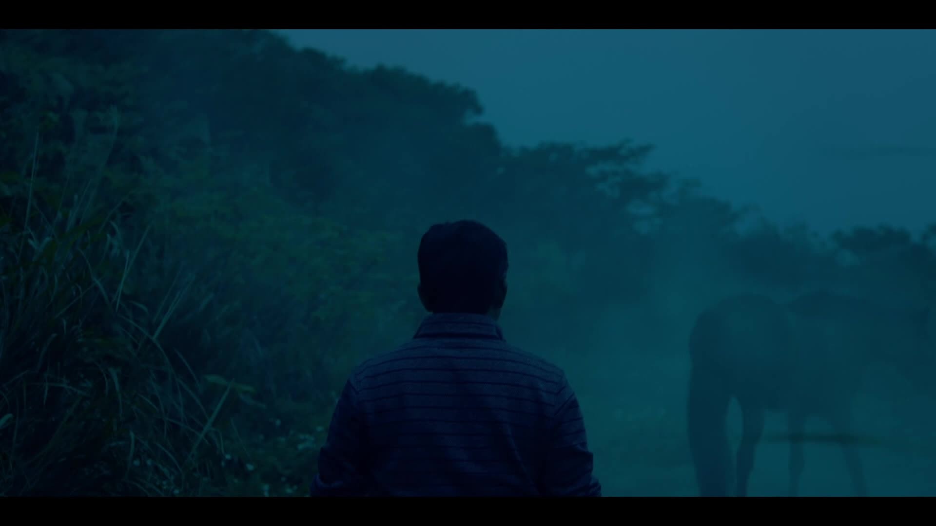 Harking Back - FilmFreeway