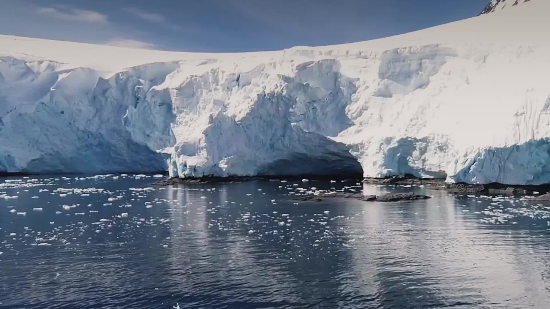 El Beagle y sus dos naciones - FilmFreeway