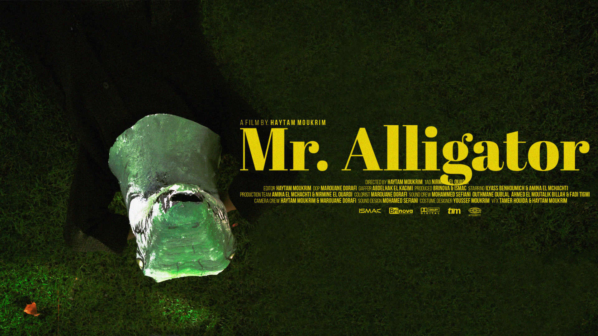 Mr. Alligator - FilmFreeway