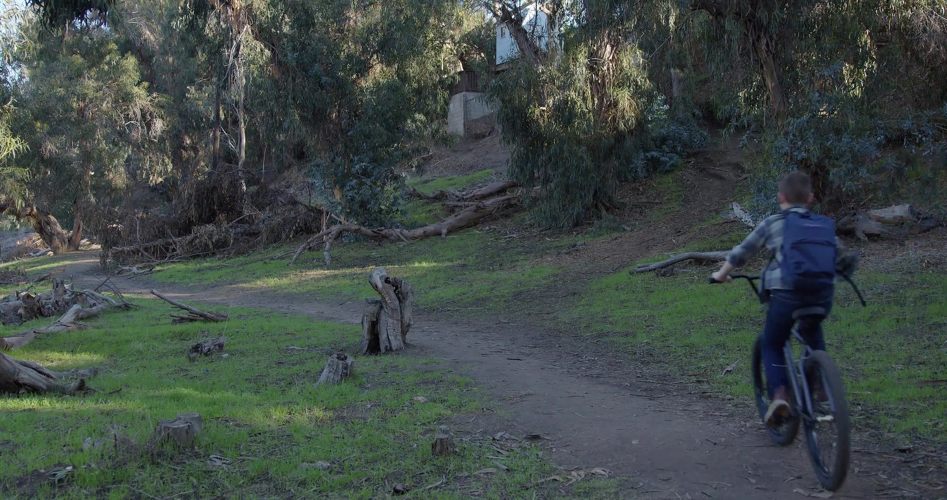 Lemonade - FilmFreeway