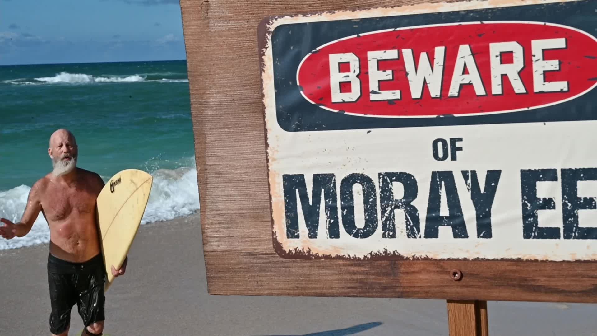 That's A Moray - FilmFreeway