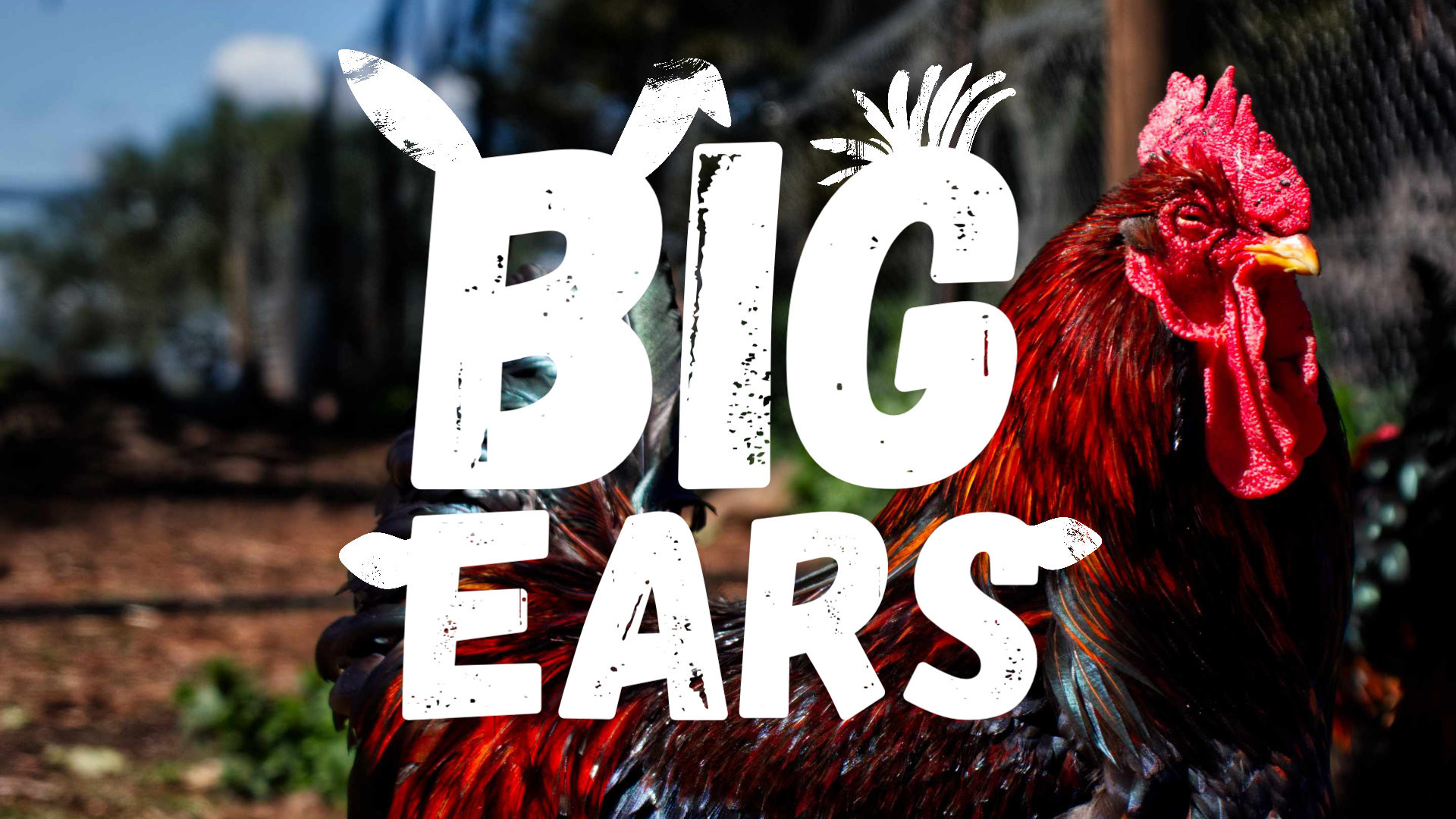 Big Ears - FilmFreeway