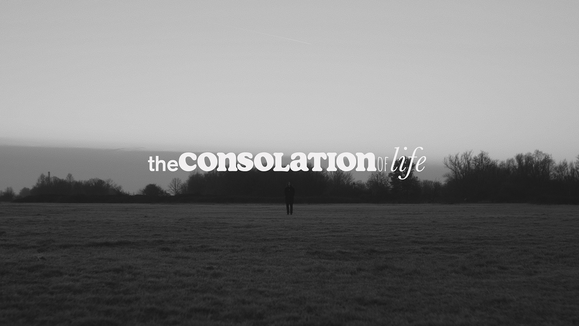 the consolation of life - FilmFreeway