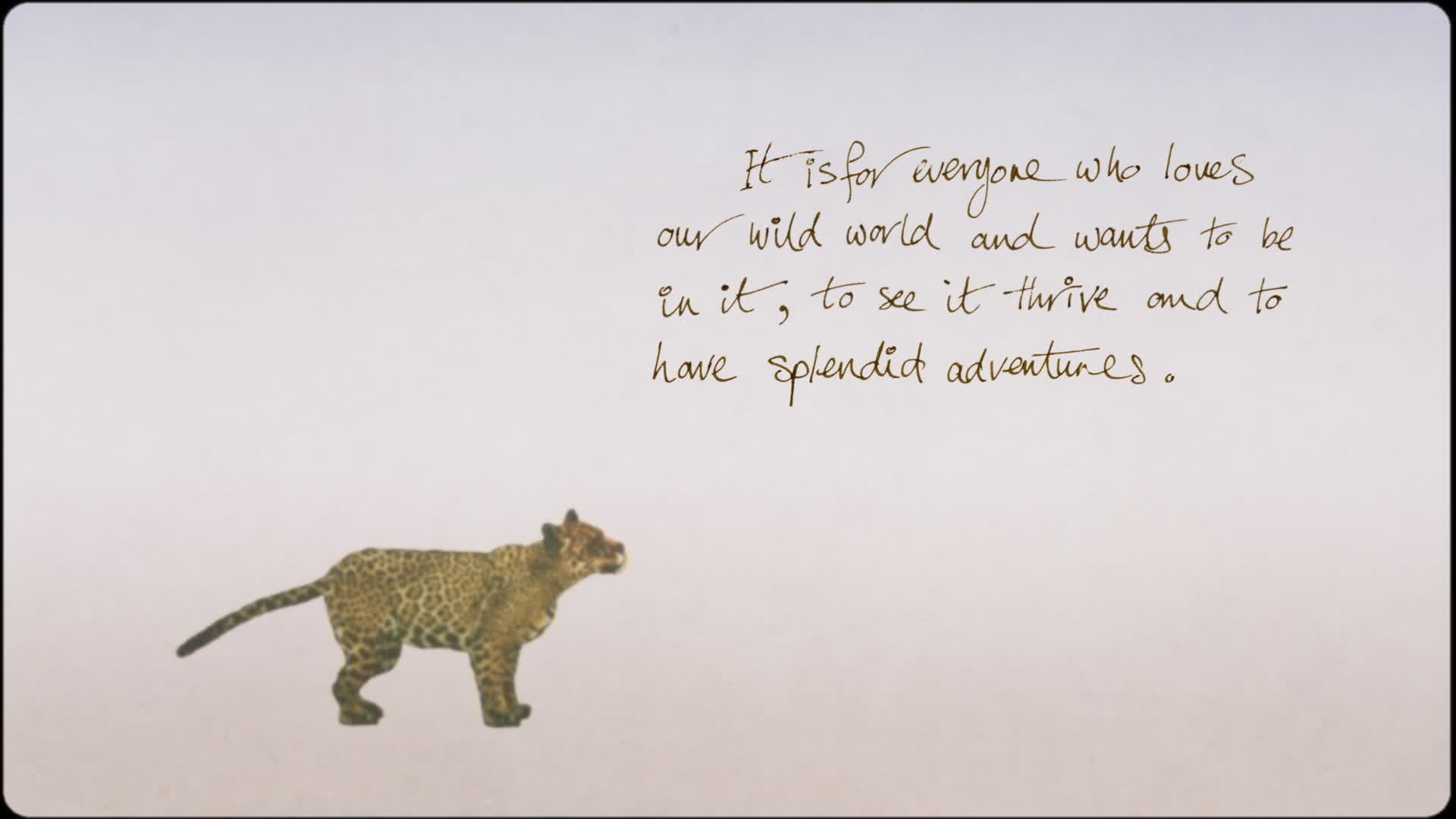 THE LAST JAGUAR | Bharati Pardhy | music video - FilmFreeway