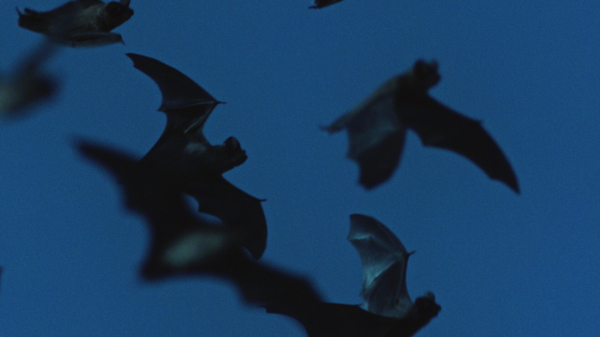 Murderabilia - FilmFreeway