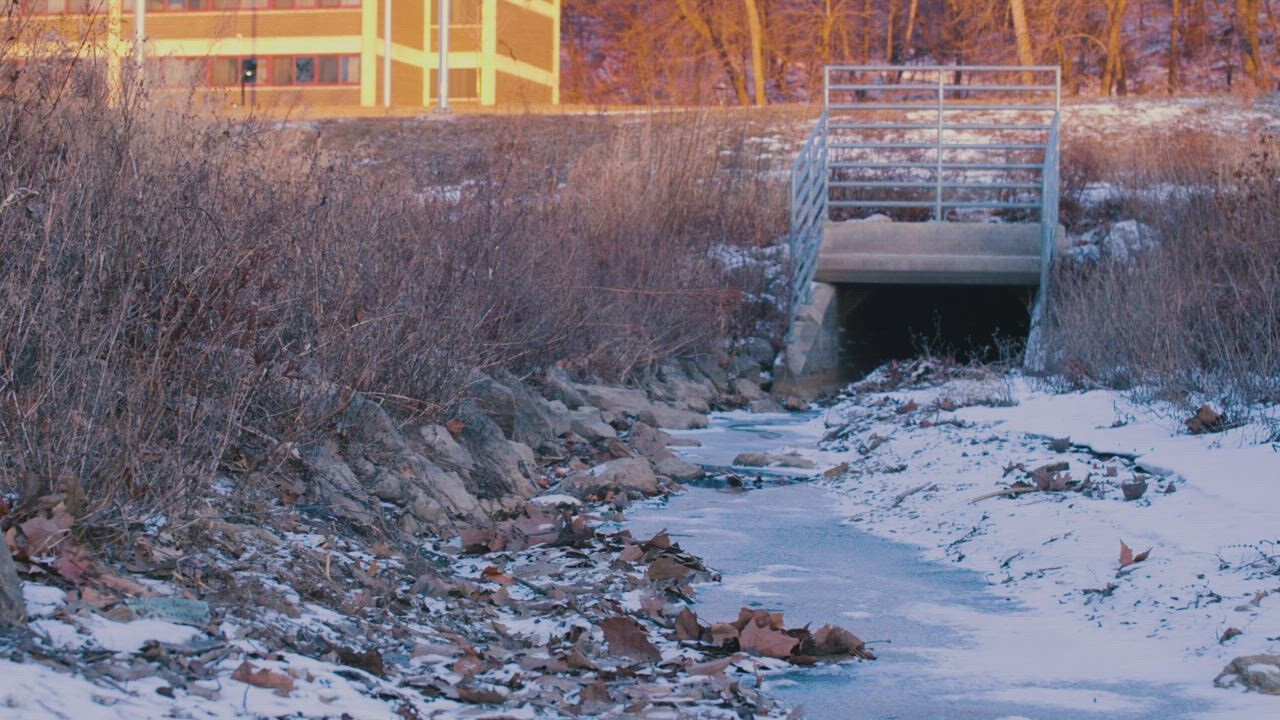 Spring Awakes - FilmFreeway