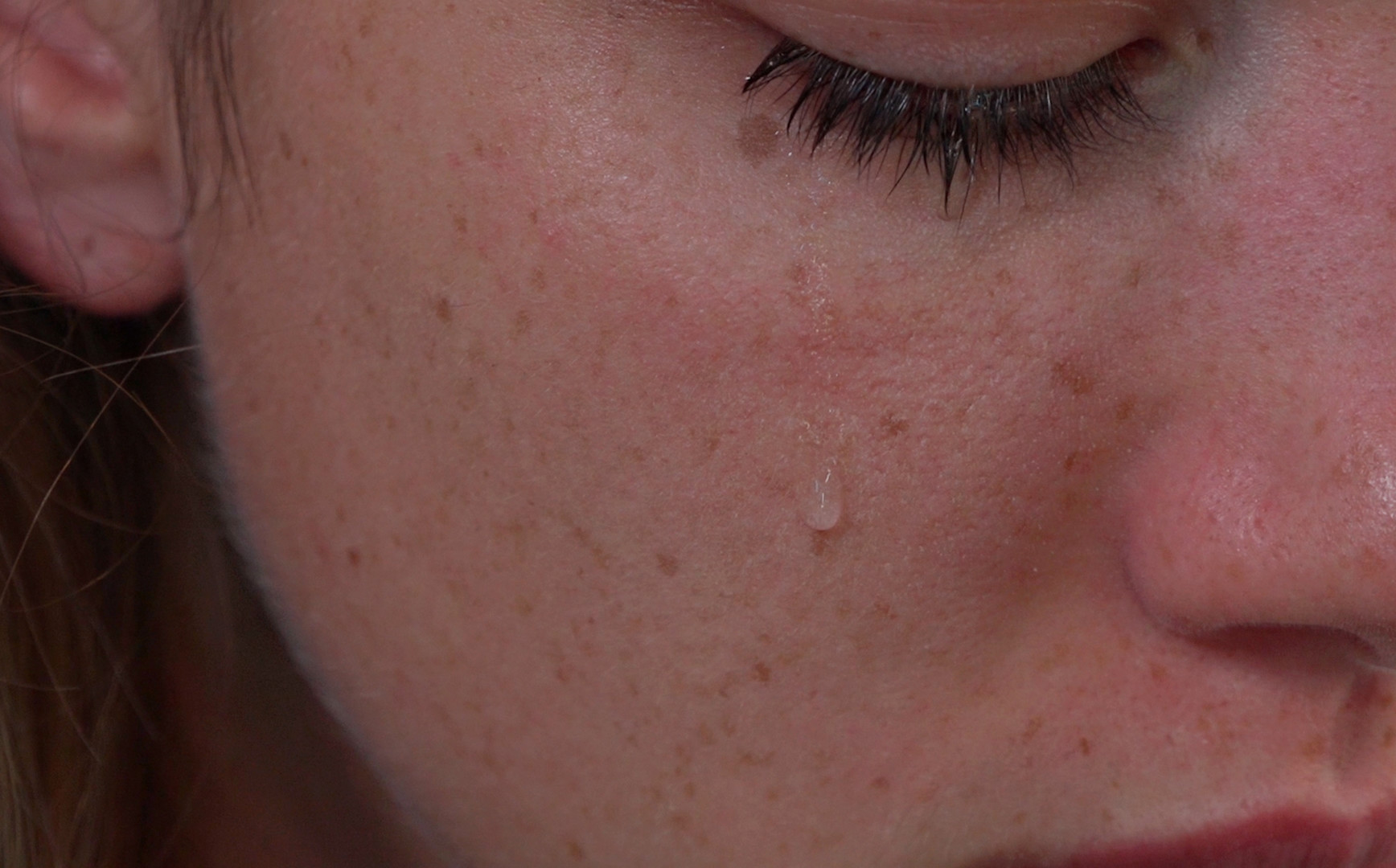 Shrimp - FilmFreeway