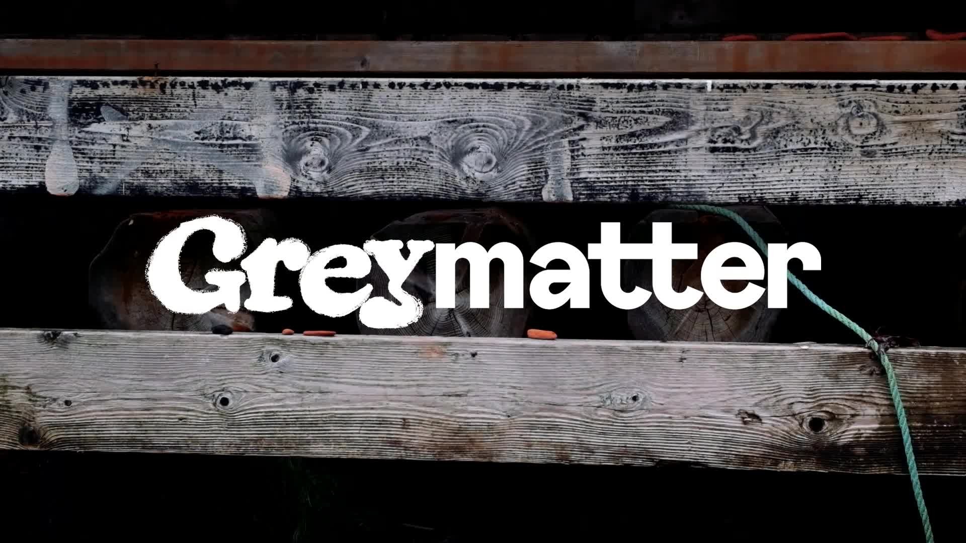 Greymatter Bergen - FilmFreeway