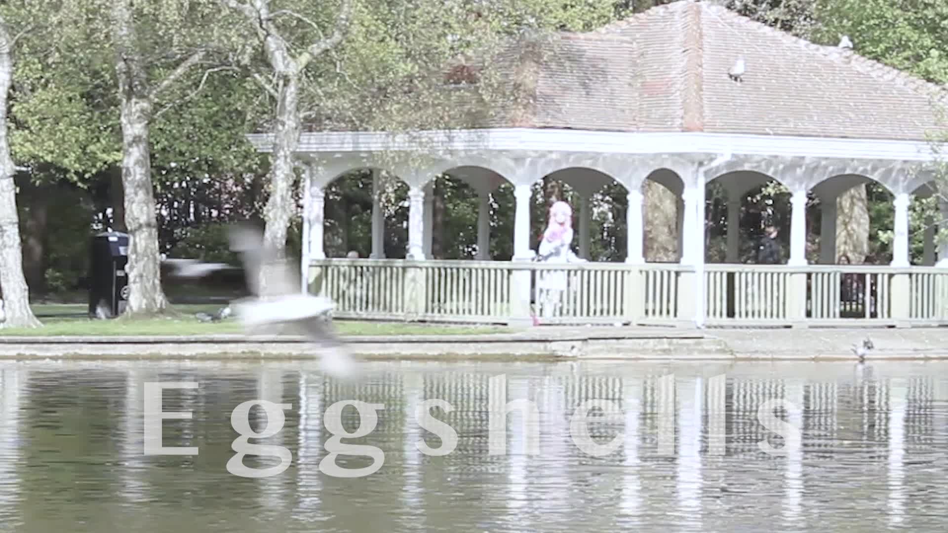 Eggshells - FilmFreeway