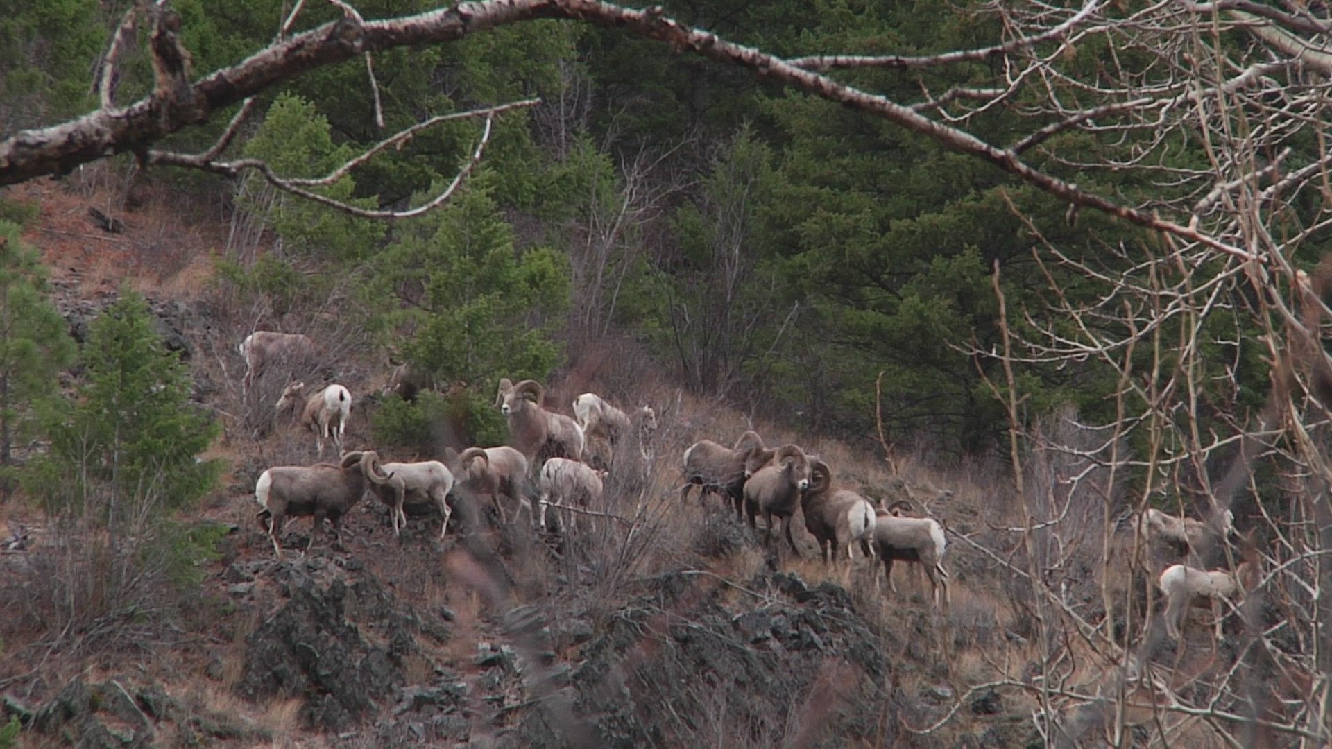 Out On A Ledge - FilmFreeway