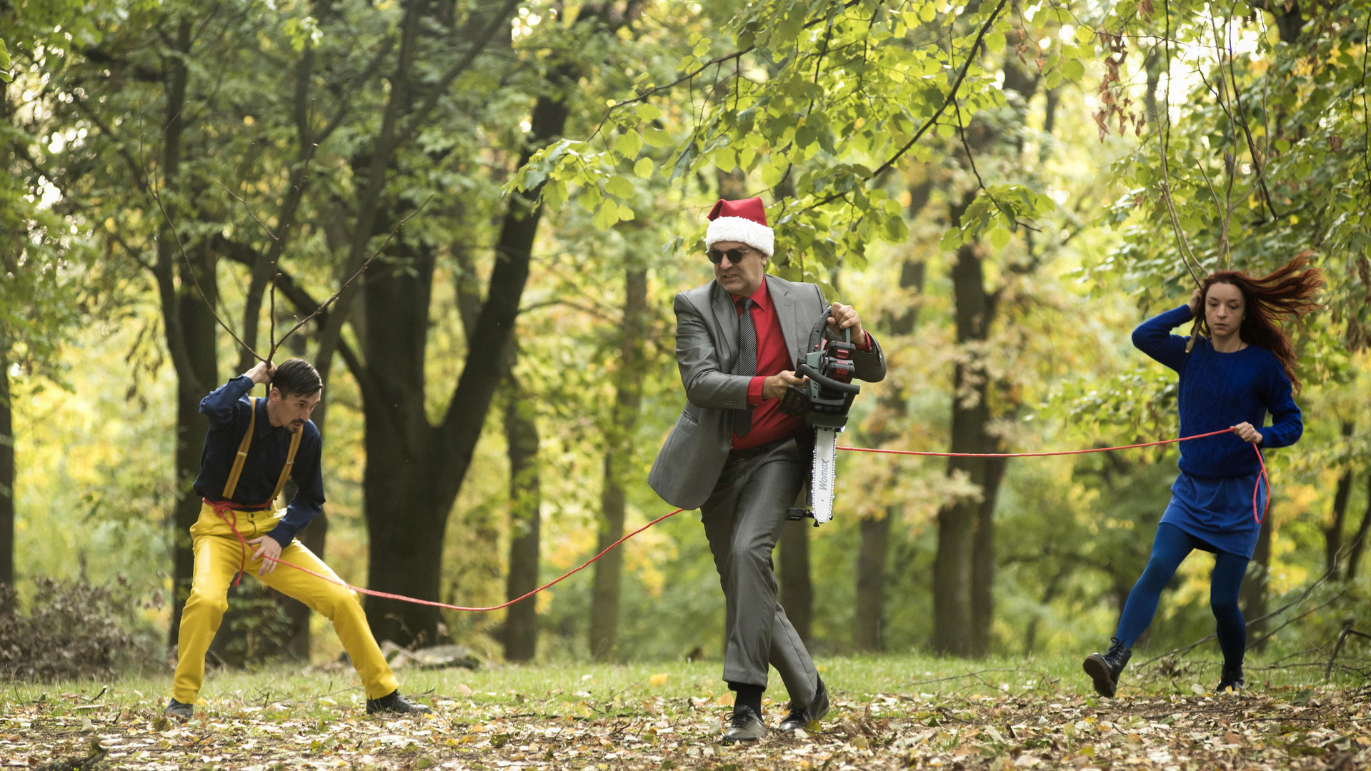 DANCING TREES - FilmFreeway