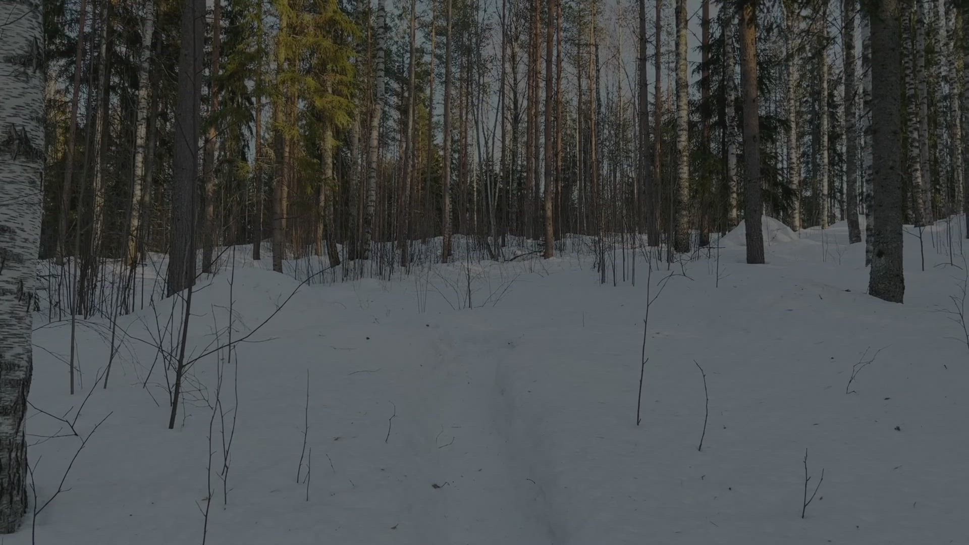 AM-I - FilmFreeway