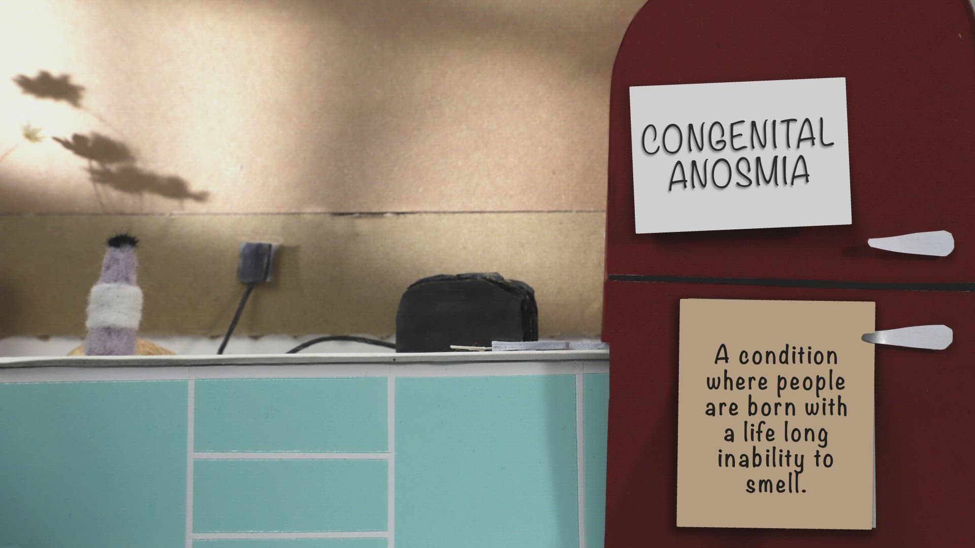 Who Nose - FilmFreeway