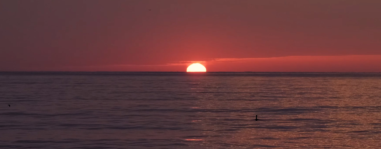 The Ocean Is Splitting Apart - FilmFreeway