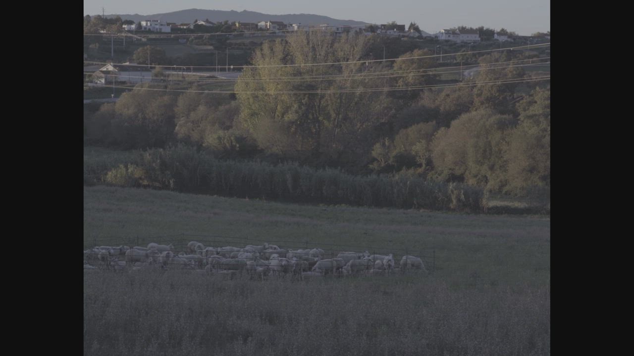 Ship City - FilmFreeway