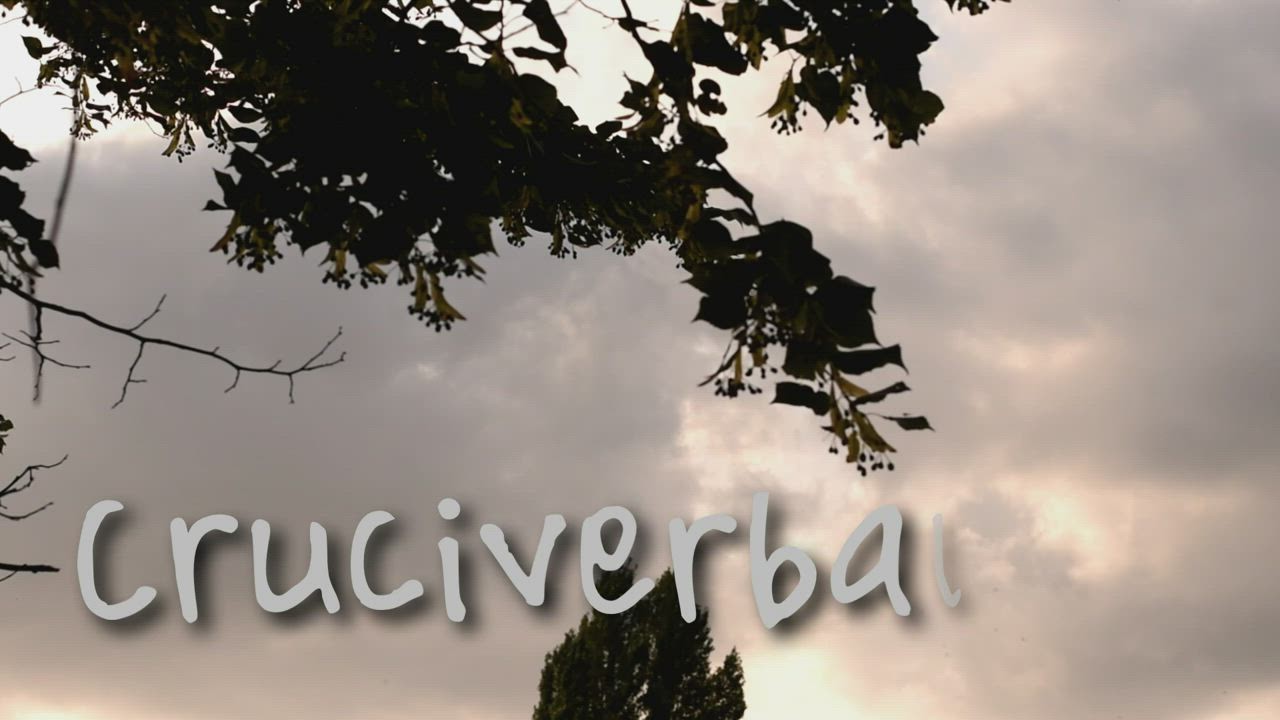 The Cruciverbalist - FilmFreeway