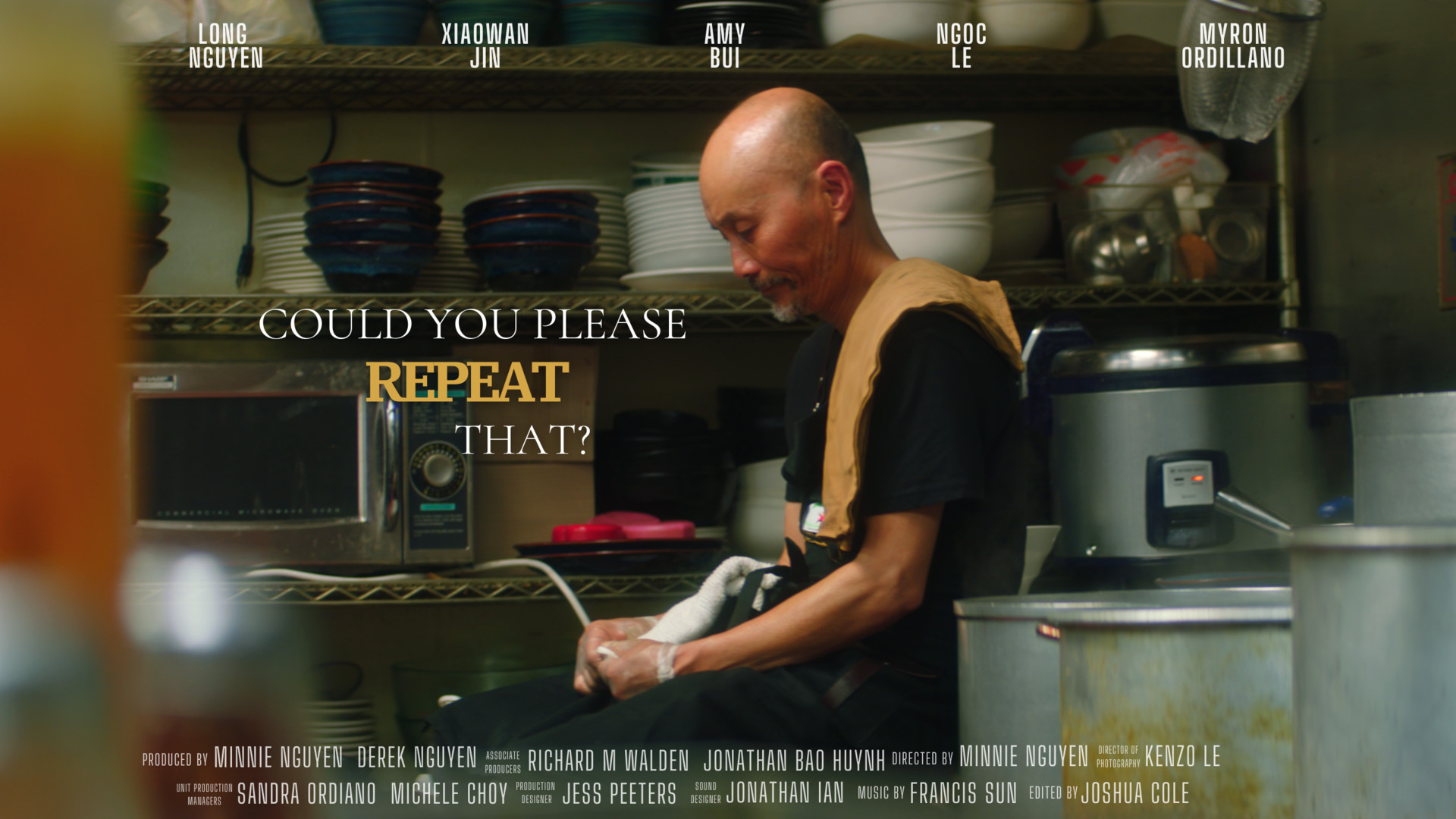 Could You Please Repeat That? - FilmFreeway