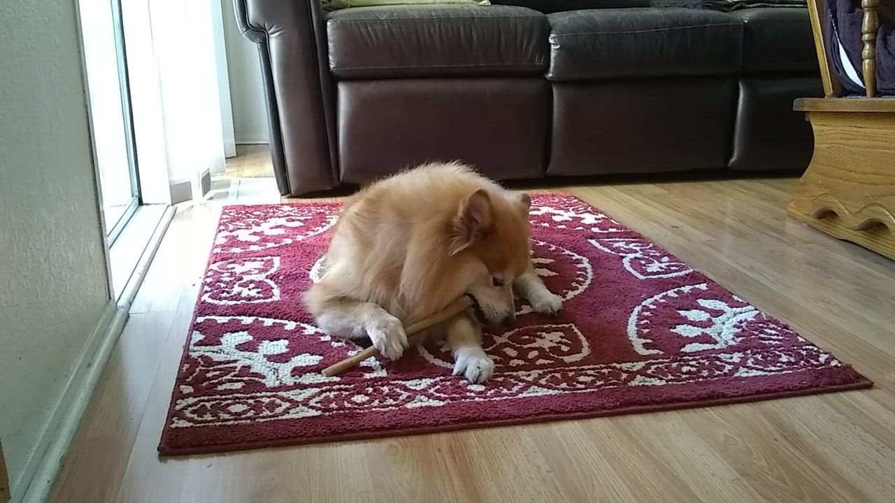 The Power of One (1st Draft) - FilmFreeway