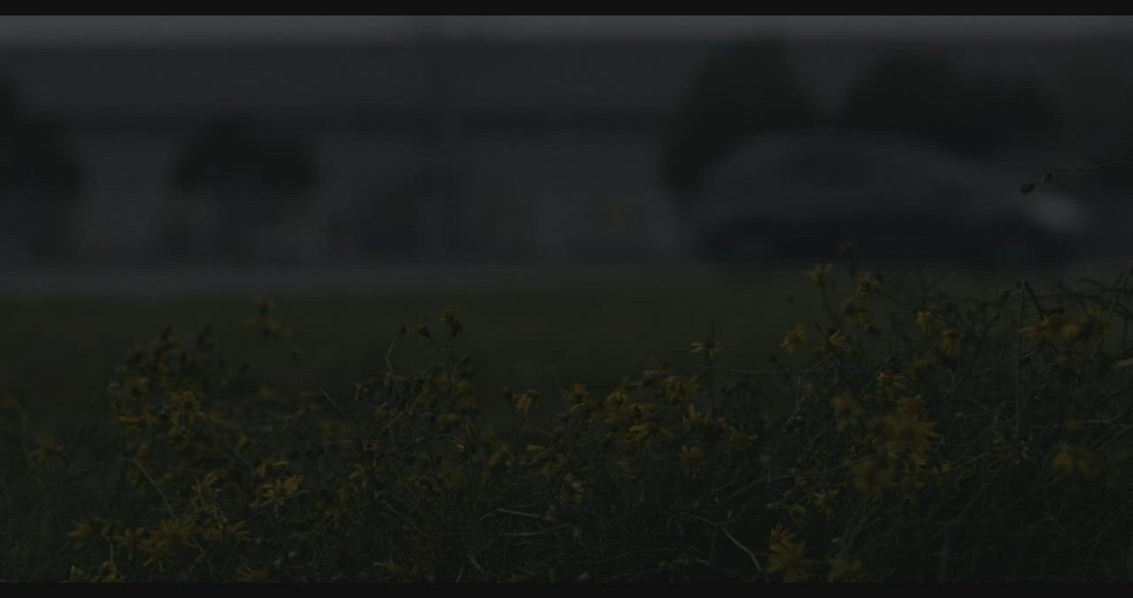 Warning - FilmFreeway