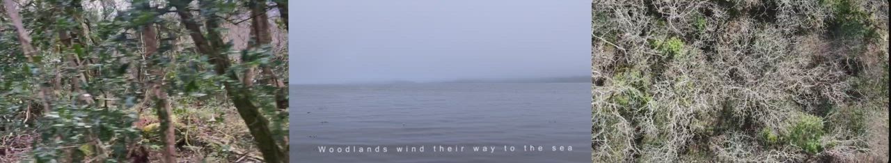 Invasive Species - FilmFreeway