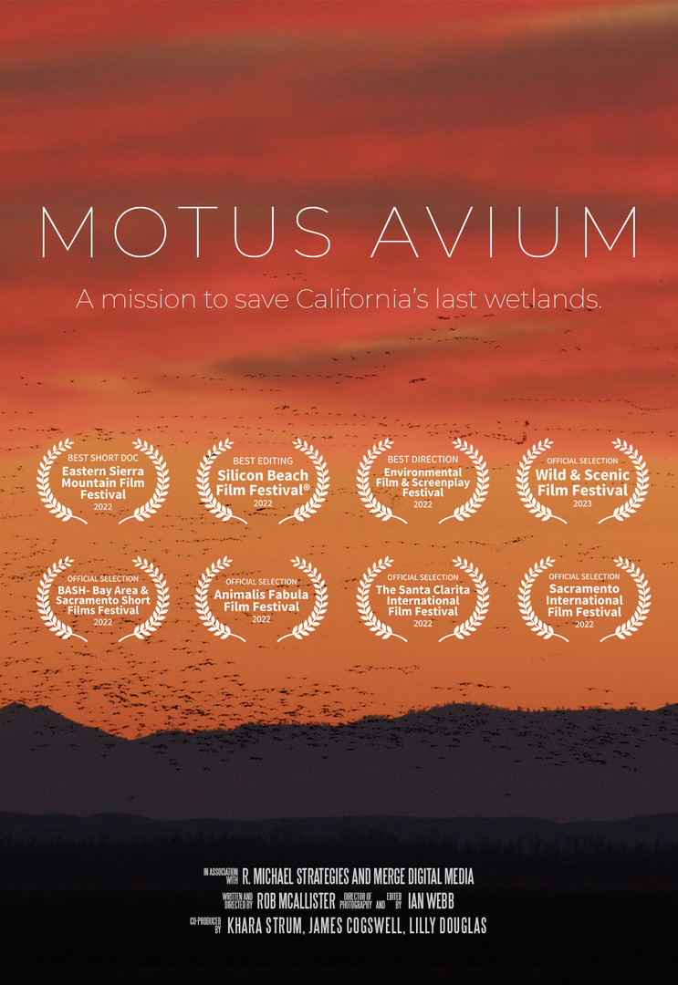 Motus Avium: A Mission to Save California's Last Wetlands - FilmFreeway