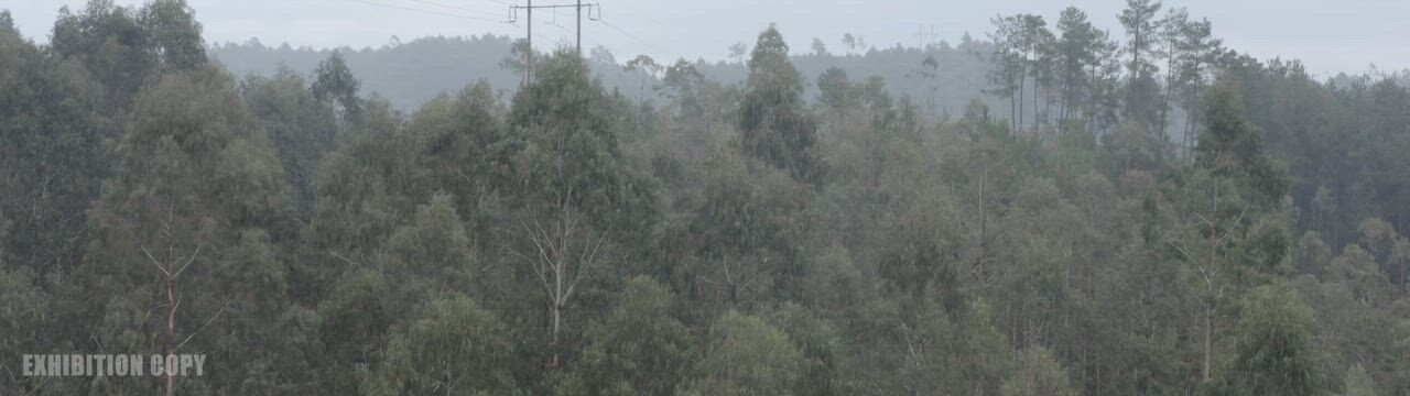 Migrate to the Cloud - FilmFreeway