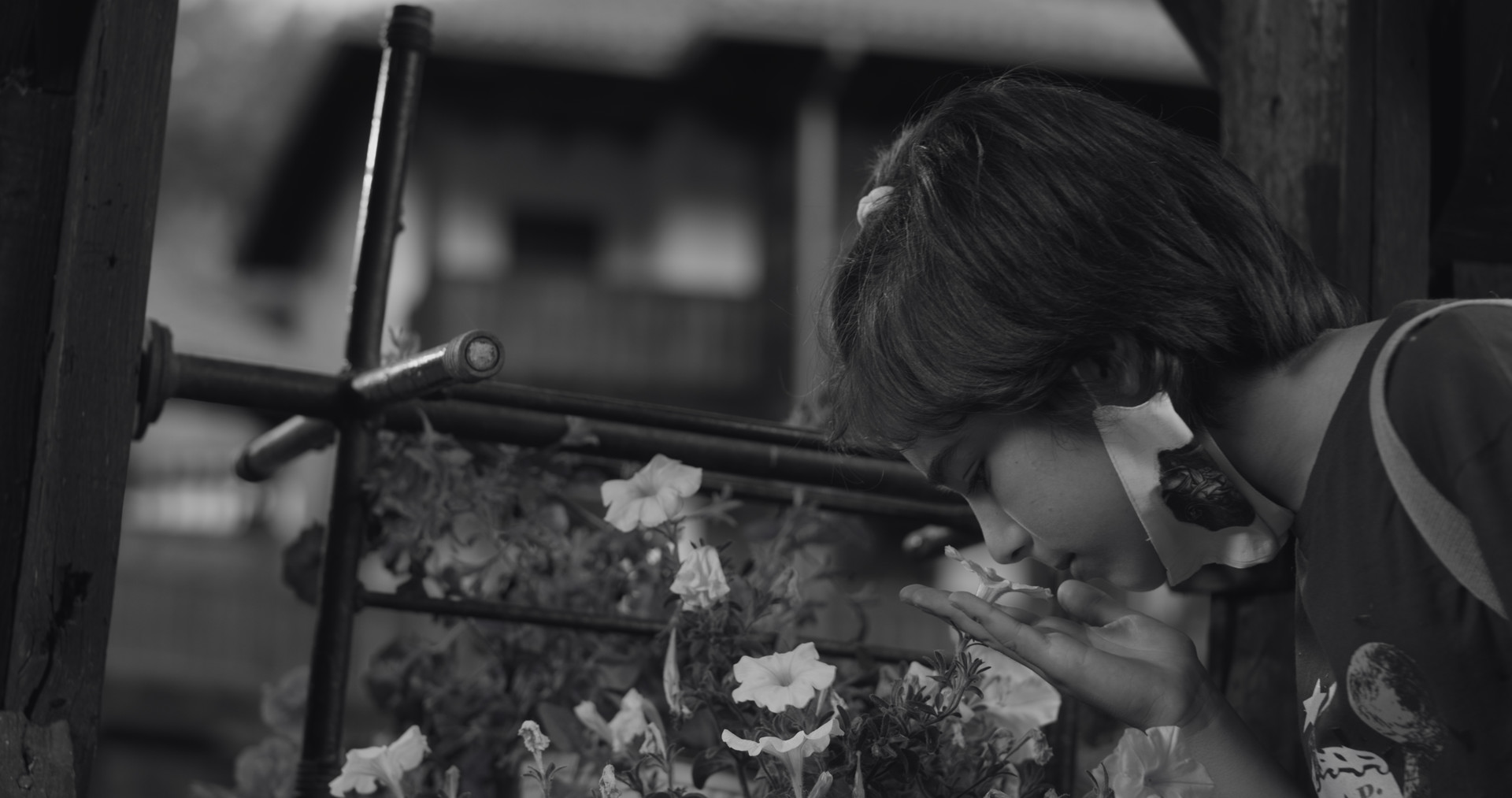 Tale and Corona - FilmFreeway