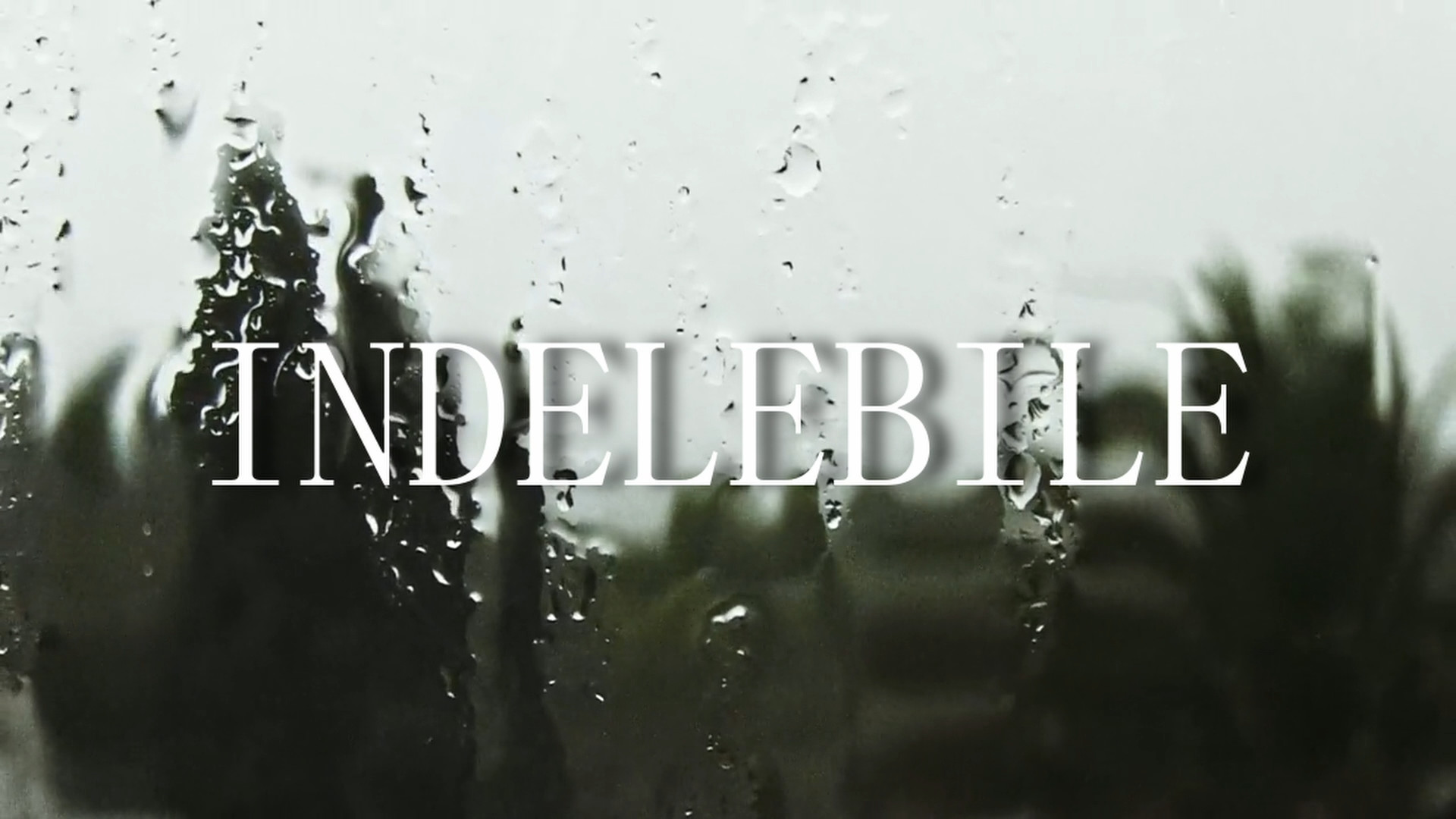 UNDELETABLE - FilmFreeway