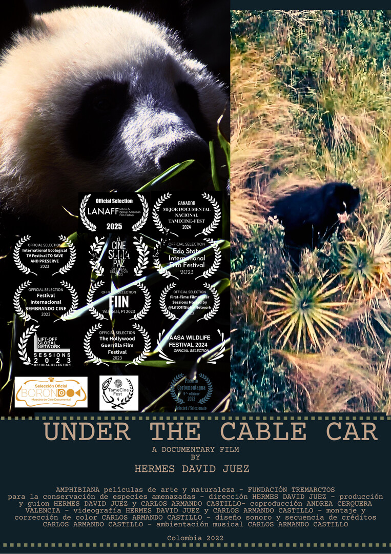 Under the Cable Car - FilmFreeway