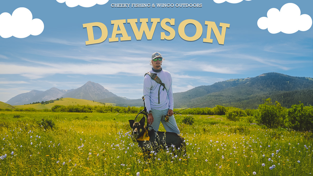 Dawson - FilmFreeway