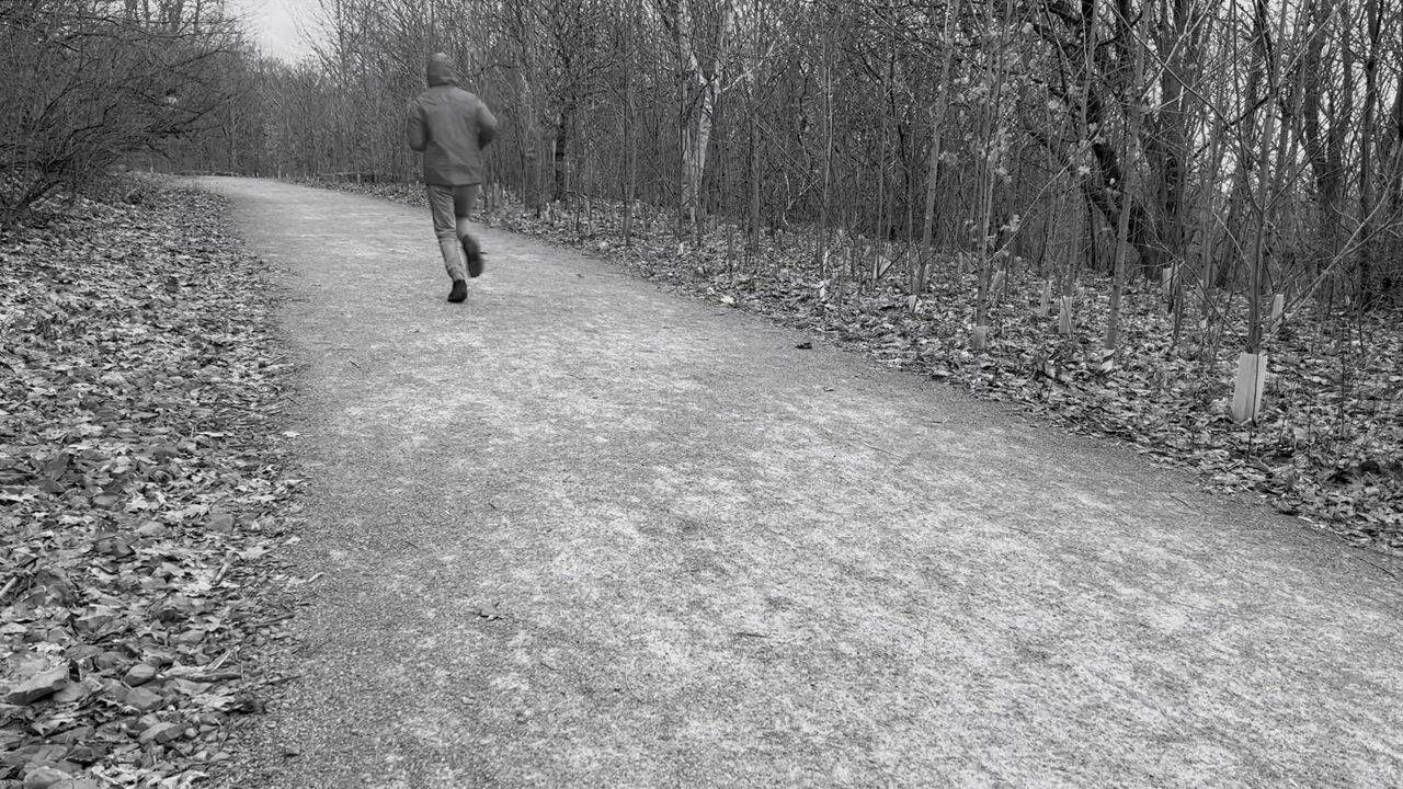 The Search - FilmFreeway