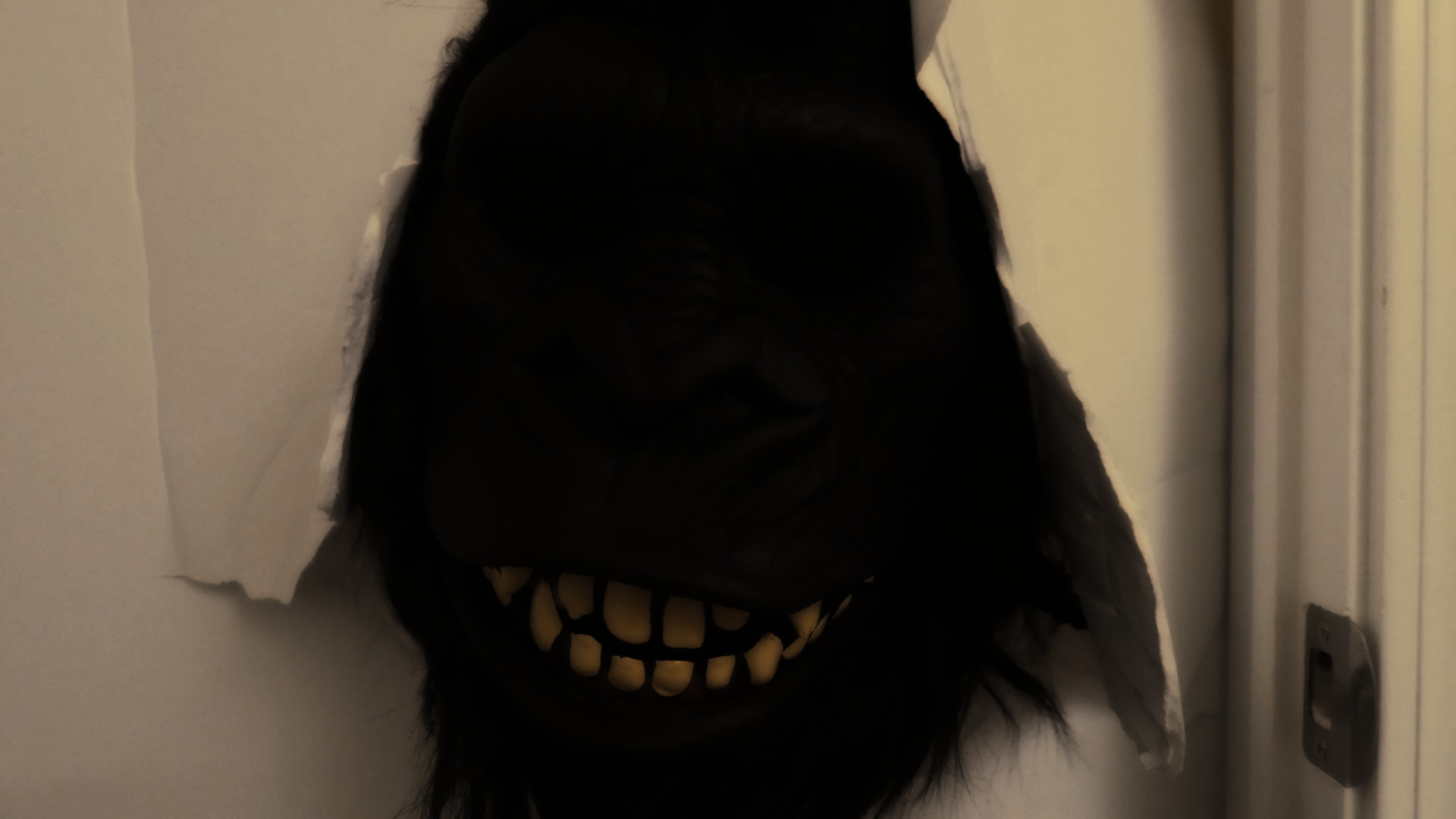 Ape’d! - FilmFreeway