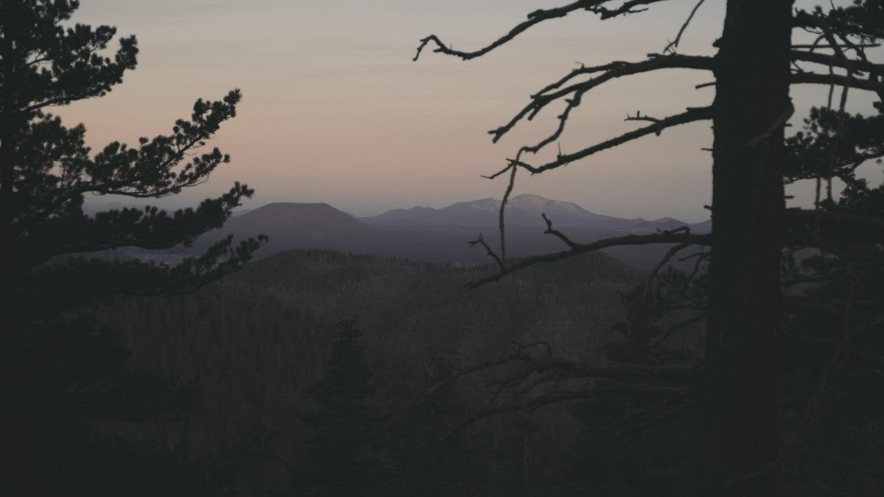 Movement as Medicine - FilmFreeway