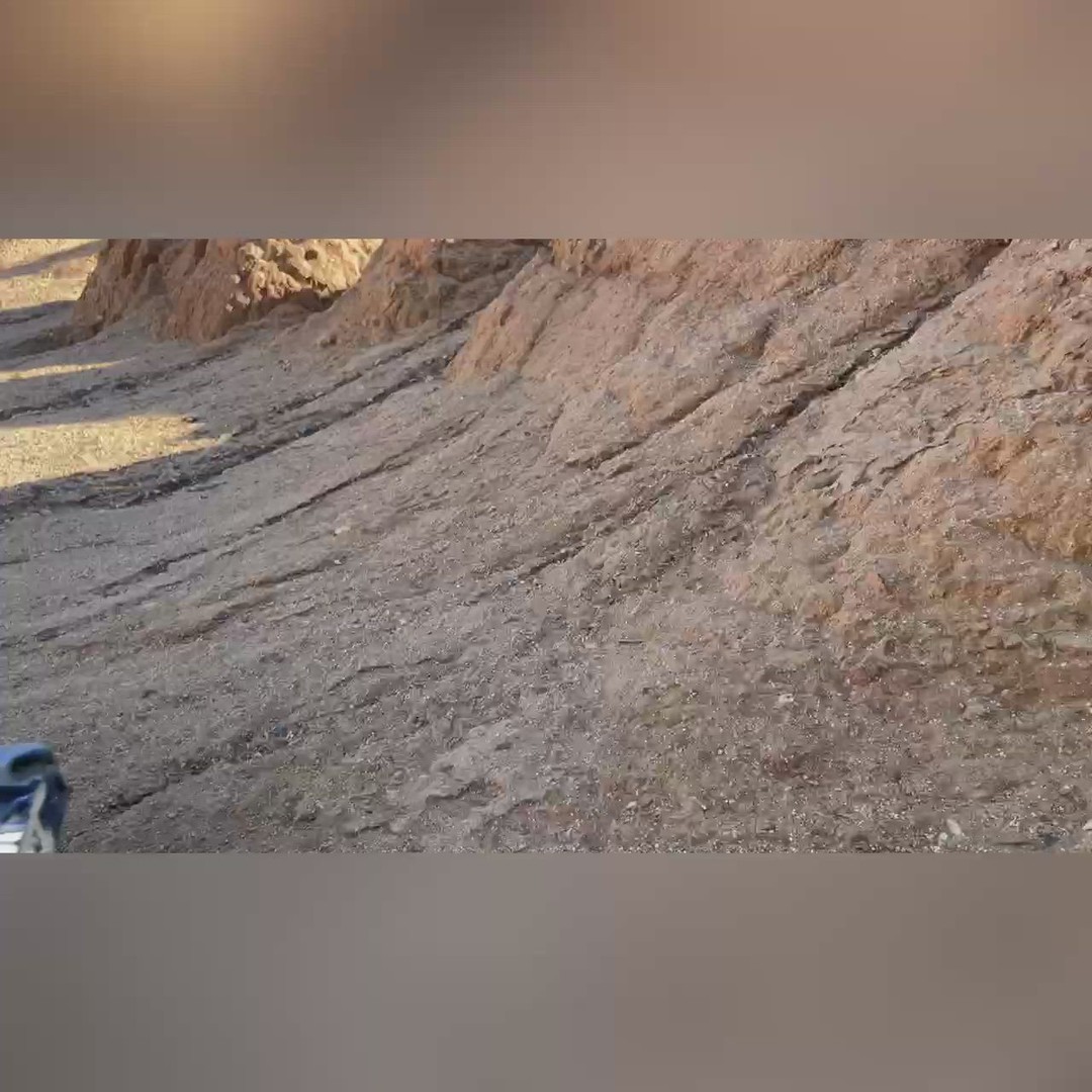 Thanksgiving Break Gone Wrong - FilmFreeway