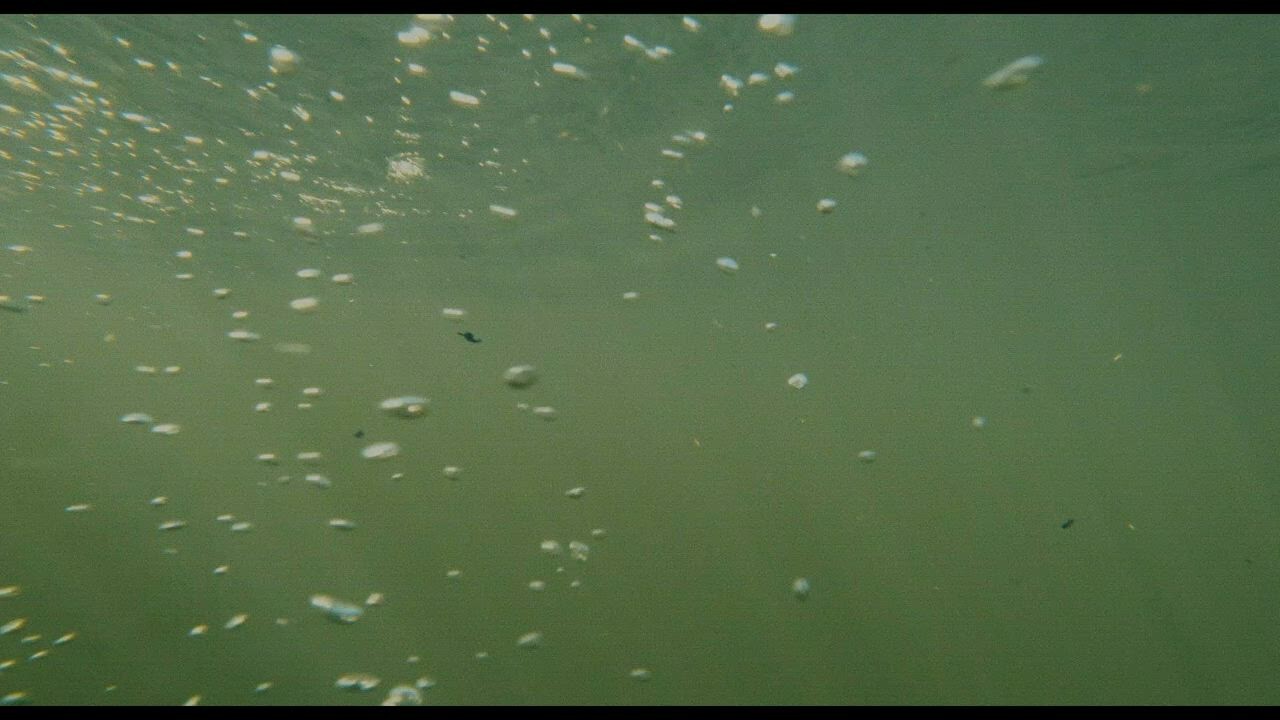 Mind Leech - FilmFreeway