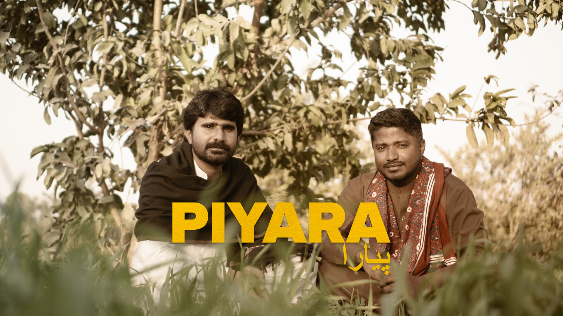 Piyara - FilmFreeway