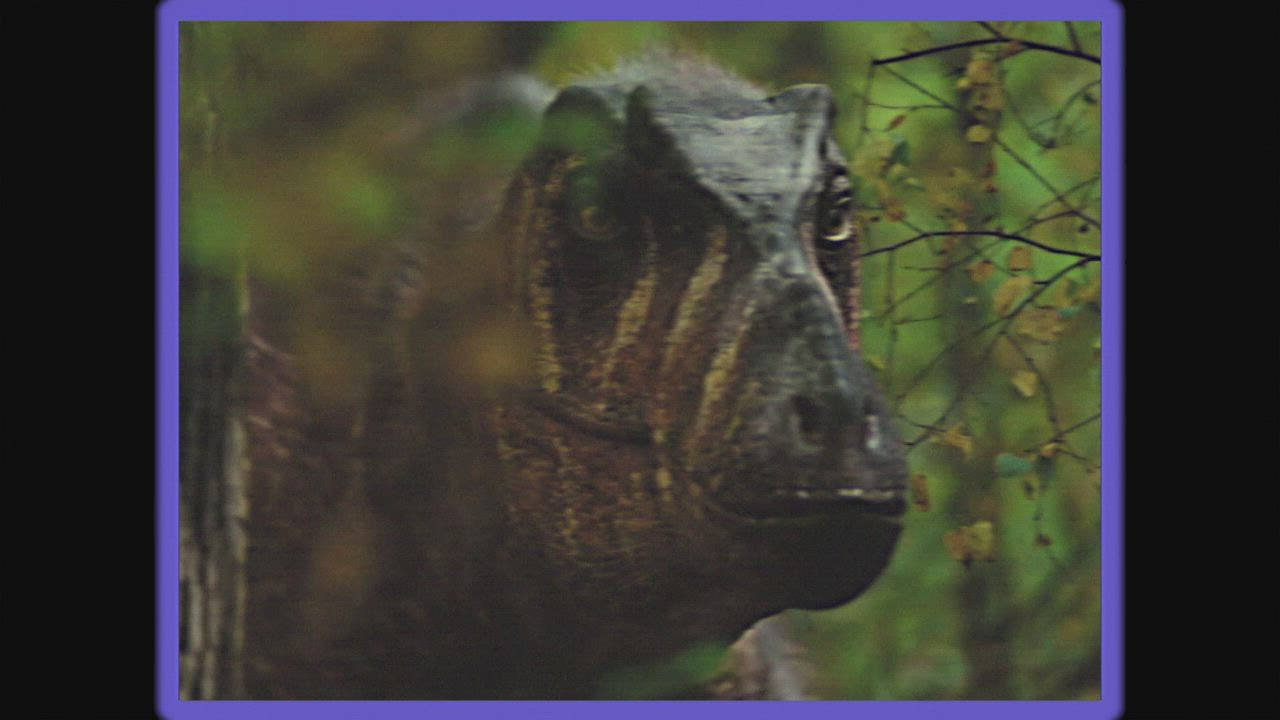 The 5th Mass Extinction - BHS Paleontology Promo - FilmFreeway