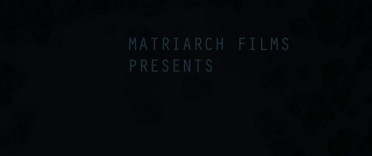 Rot - FilmFreeway
