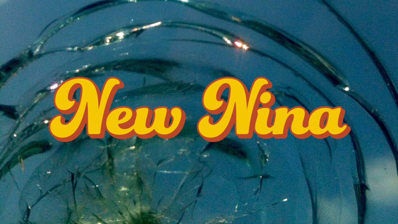 New Nina - FilmFreeway