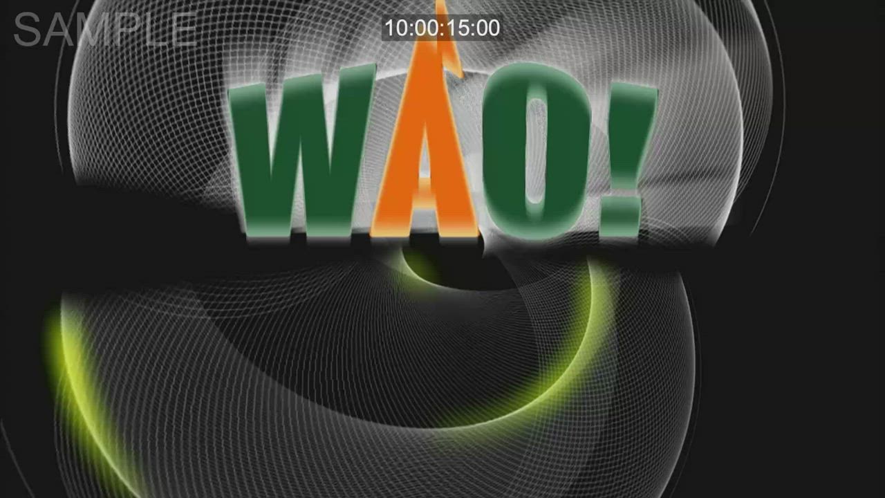 GONTA：The Story of the Two-Named Dog in the Fukushima Disaster ...