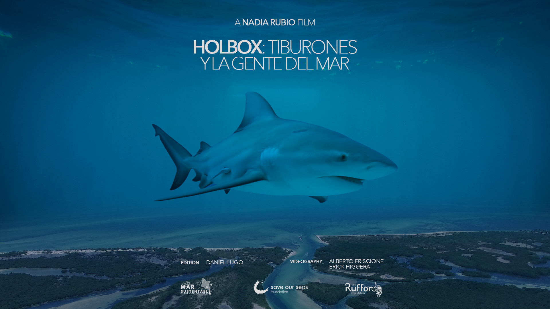 Holbox: Sharks and the people from the Sea - FilmFreeway