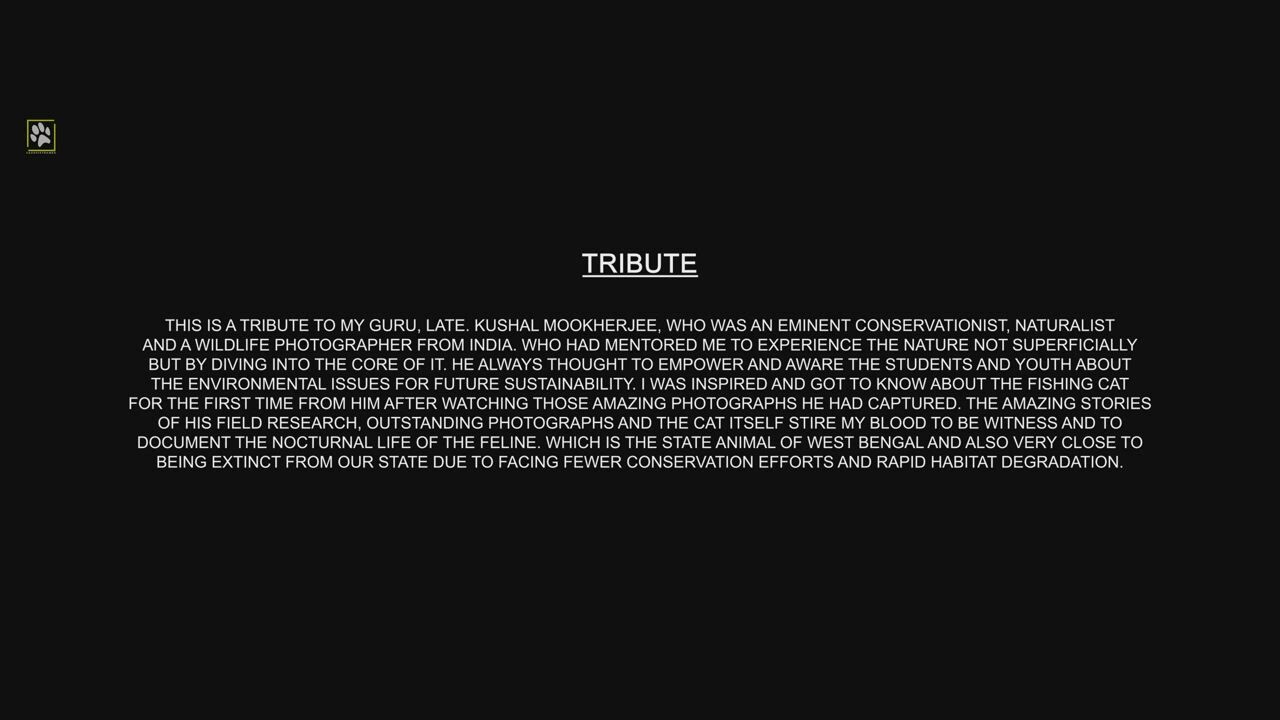 FISHING CAT THE PRIDE OF BENGAL - FilmFreeway