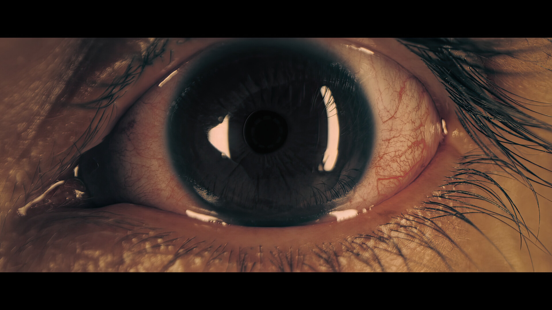 SMASHED - FilmFreeway