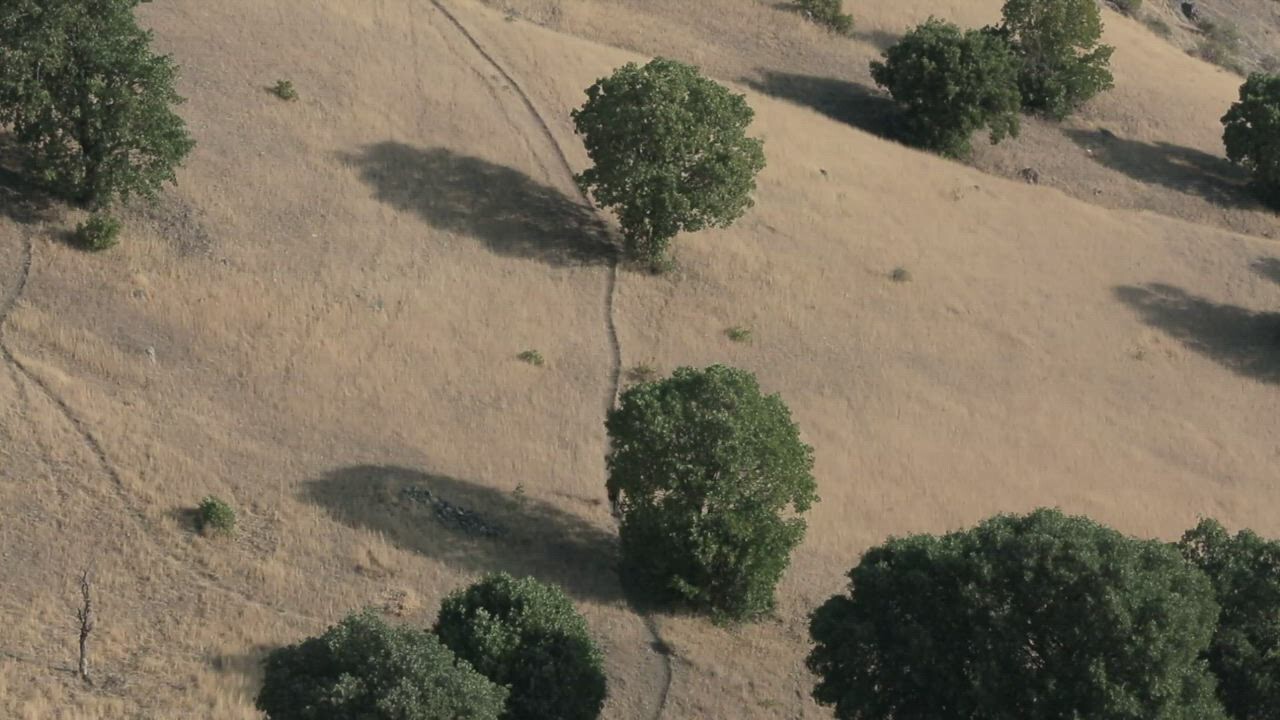 Long Sunset - FilmFreeway