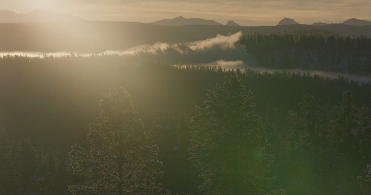 The Winterkeeper - FilmFreeway