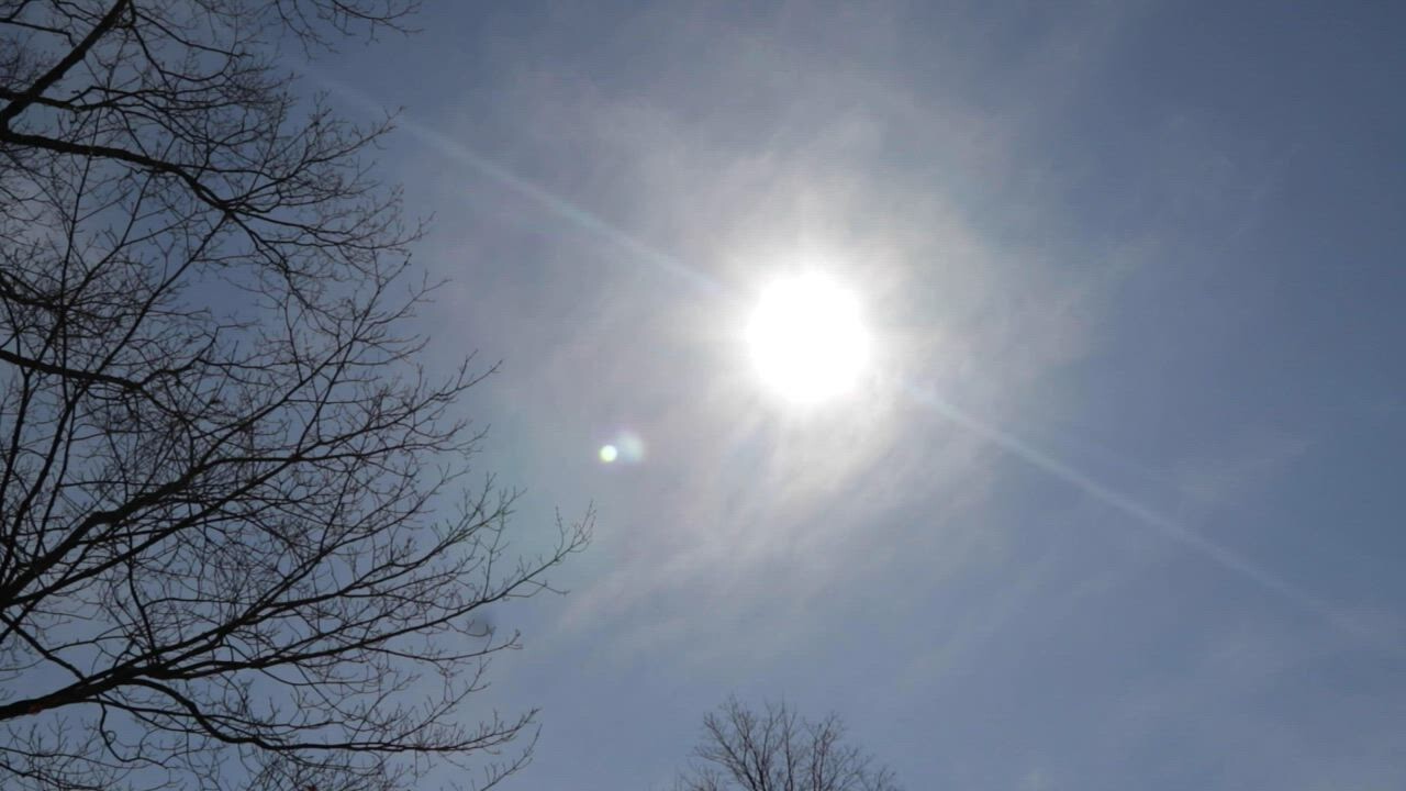 The Prolific - FilmFreeway