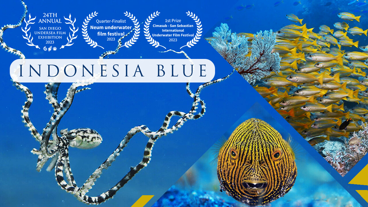 Indonesia Blue - FilmFreeway